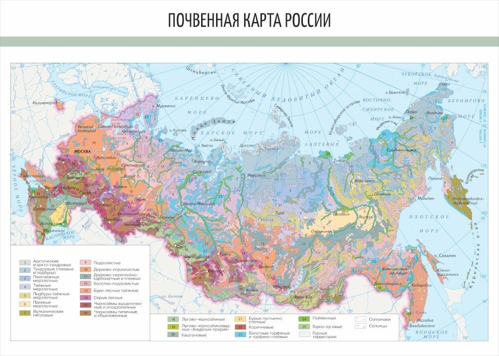 Почвенная карта России 8-9 классы