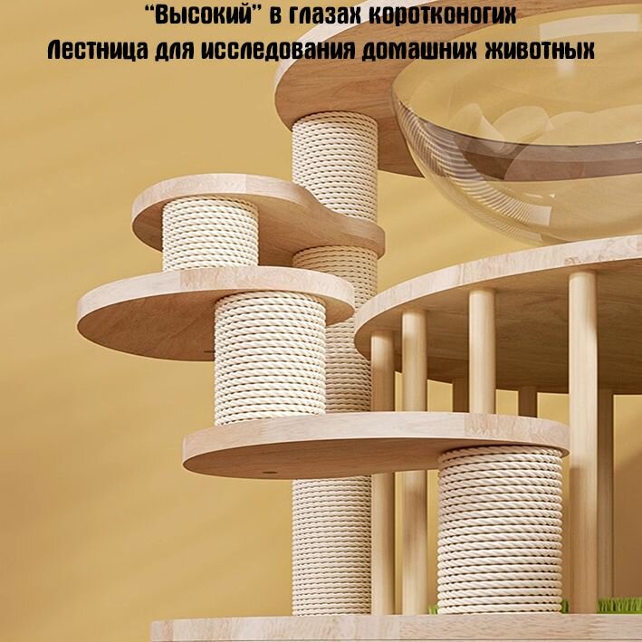 Когтеточка — фото 1
