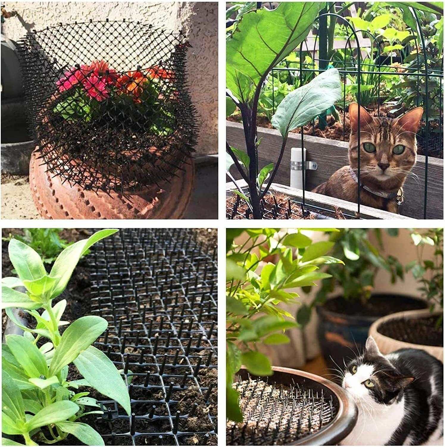 Противоприсадные шипы Средство от птичьих колючек, отпугивающее птиц 30X200CM