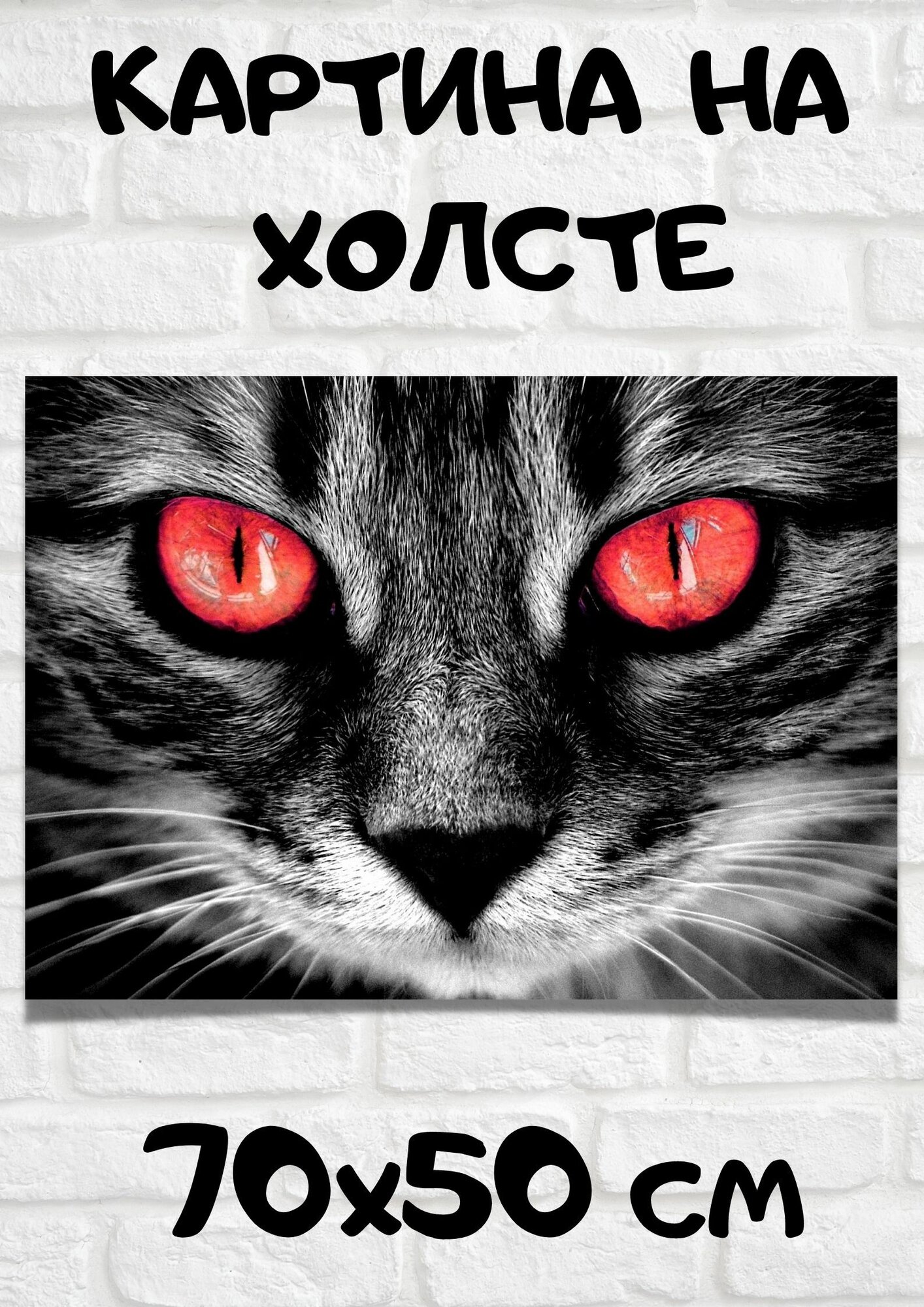 Картина Кот глаза взгляд / Фотокартина с глазами кошки