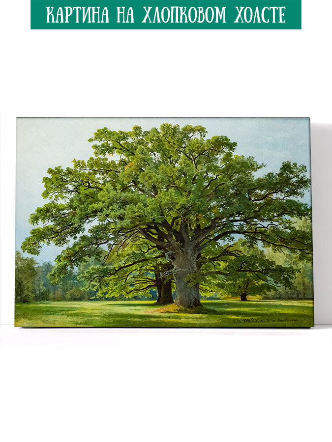 Картина/Парк дачи графа Мордвинова. Иван Шишкин