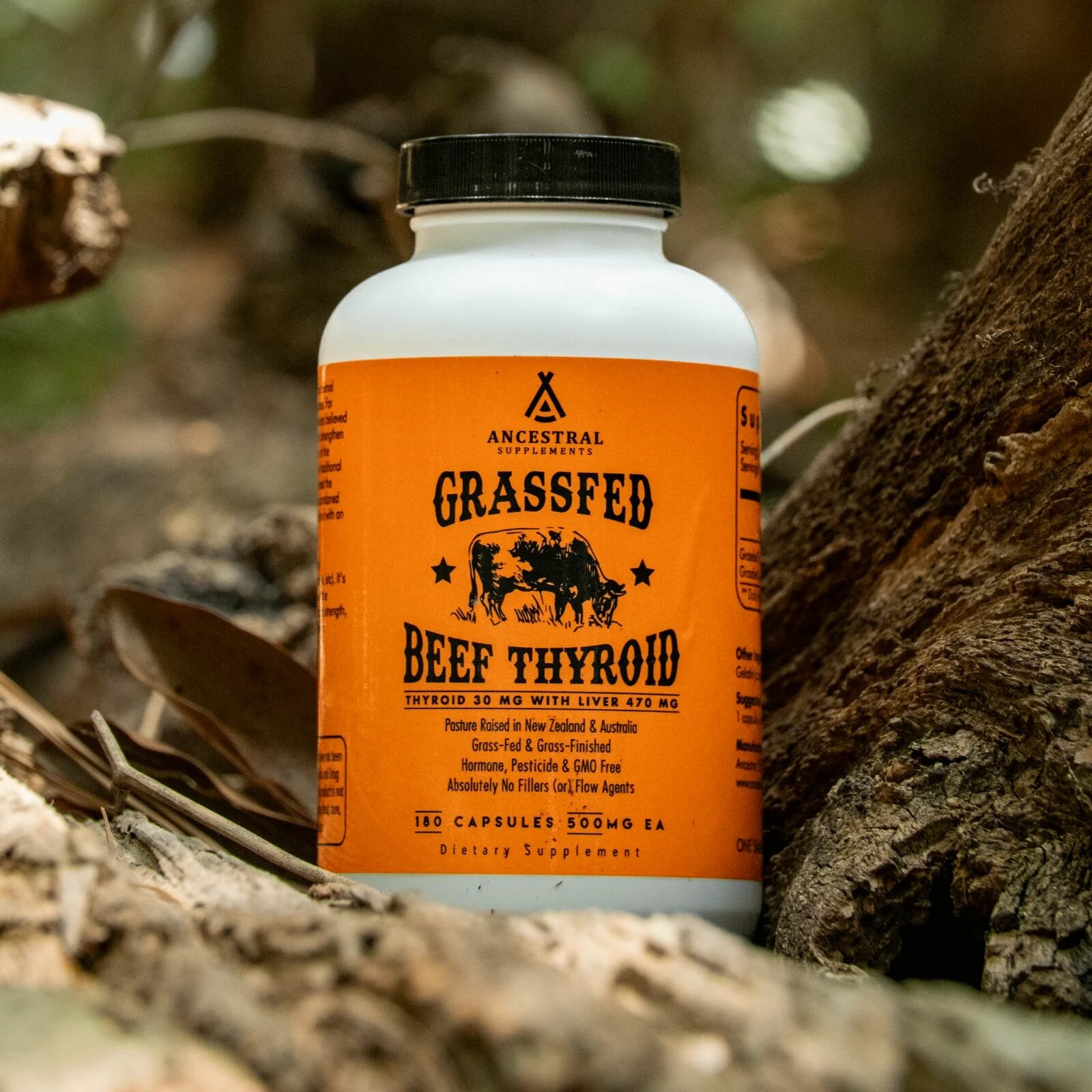 Ancestral Supplements, Вытяжка из говяжьей щитовидной железы, травяной откорм, Grass Fed Thyroid,180 капсул