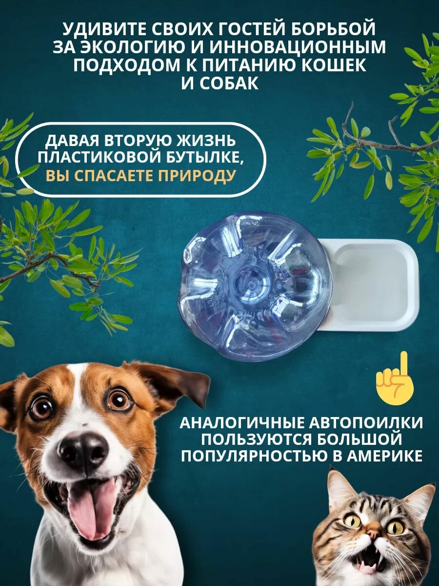 Автокормушка — фото 1