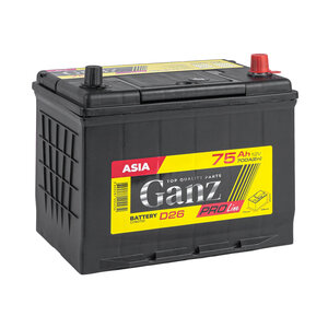 Аккумулятор GANZ pro-line jis 75 а/ч обратный r+ 258x173x220 d26 en 700 а GANZ арт. g1180750