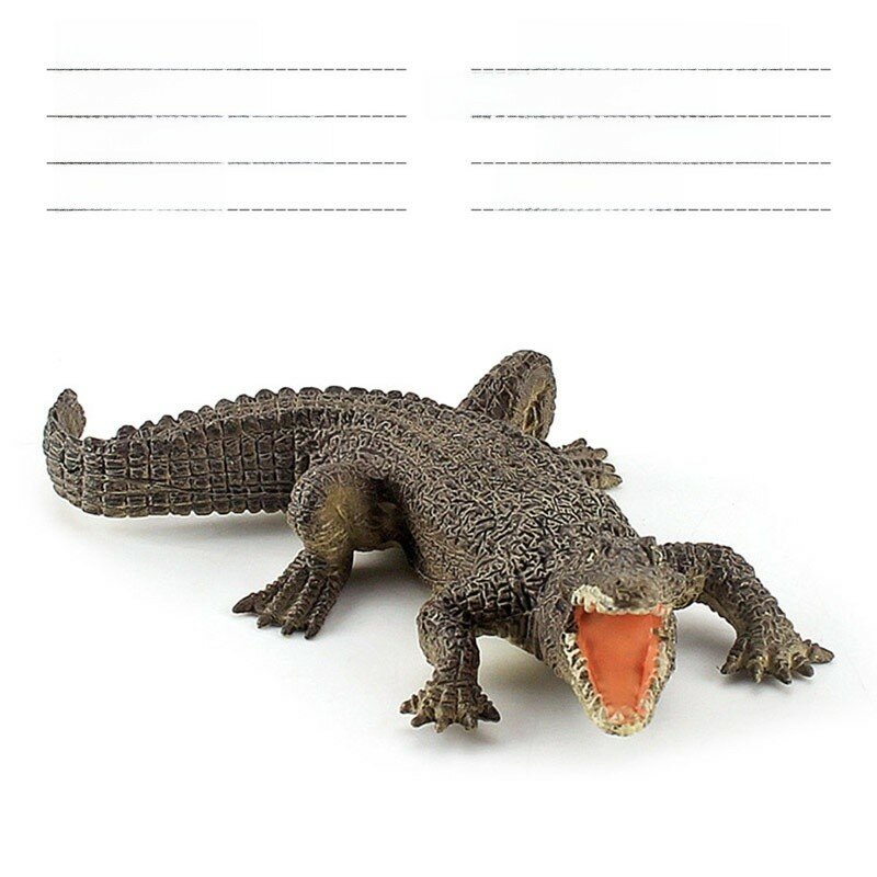 Crocodile model collection with static design for educational and decorative use style e