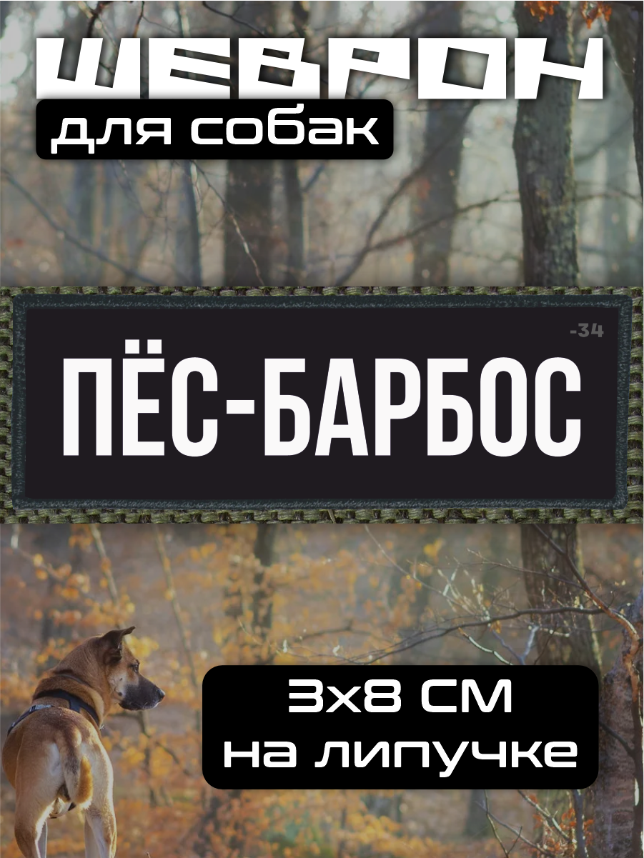 Шеврон на липучке для собак Пёс барбос надпись