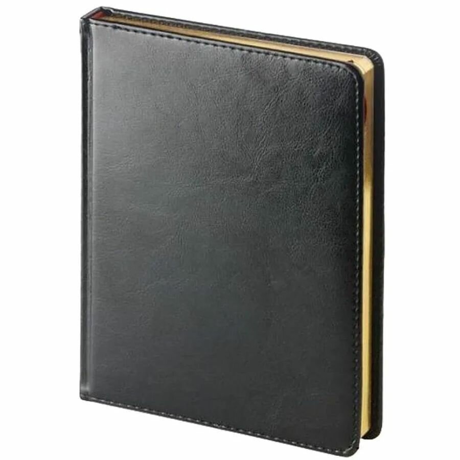 Ежедневник недатированный А6 110х155 Sidney Nebraska чер 272с