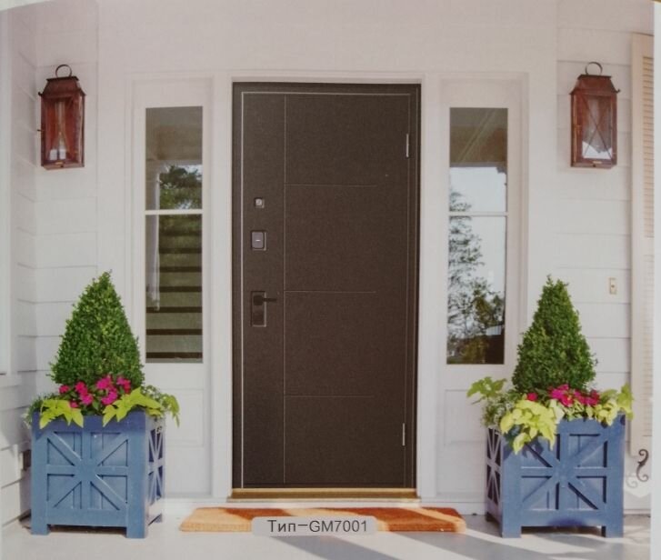 Дверь входная GM-7001