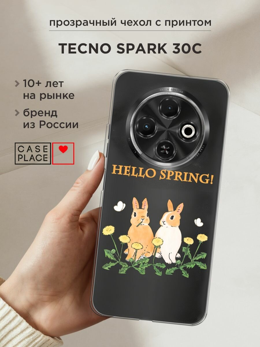 Чехол на Tecno Spark 30C / Текно Спарк 30C с принтом "Весенние кролики", прозрачный