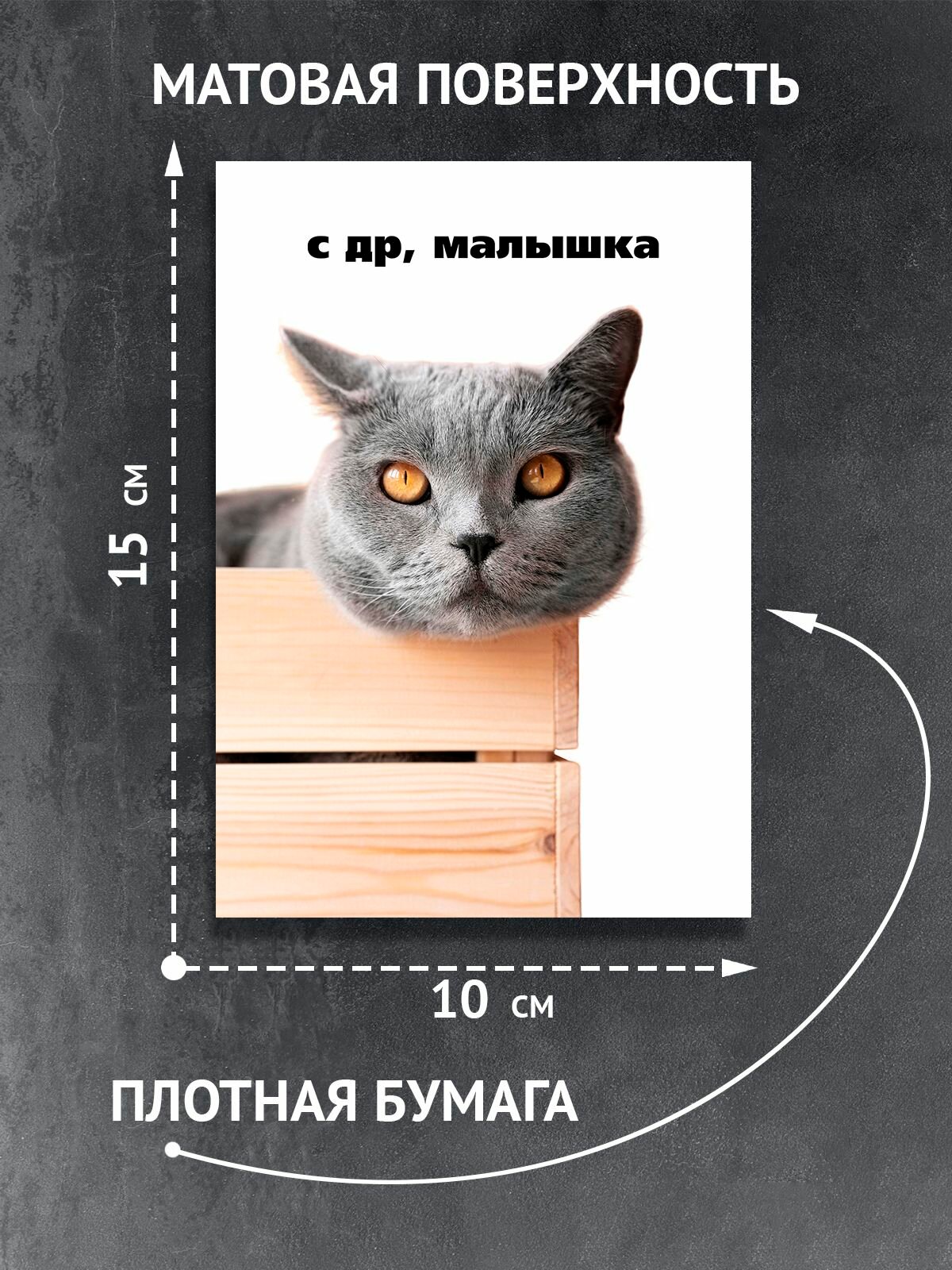 Подарочная открытка с уникальной иллюстрацией котик "С др, малышка" с днем рождения, с юбилеем
