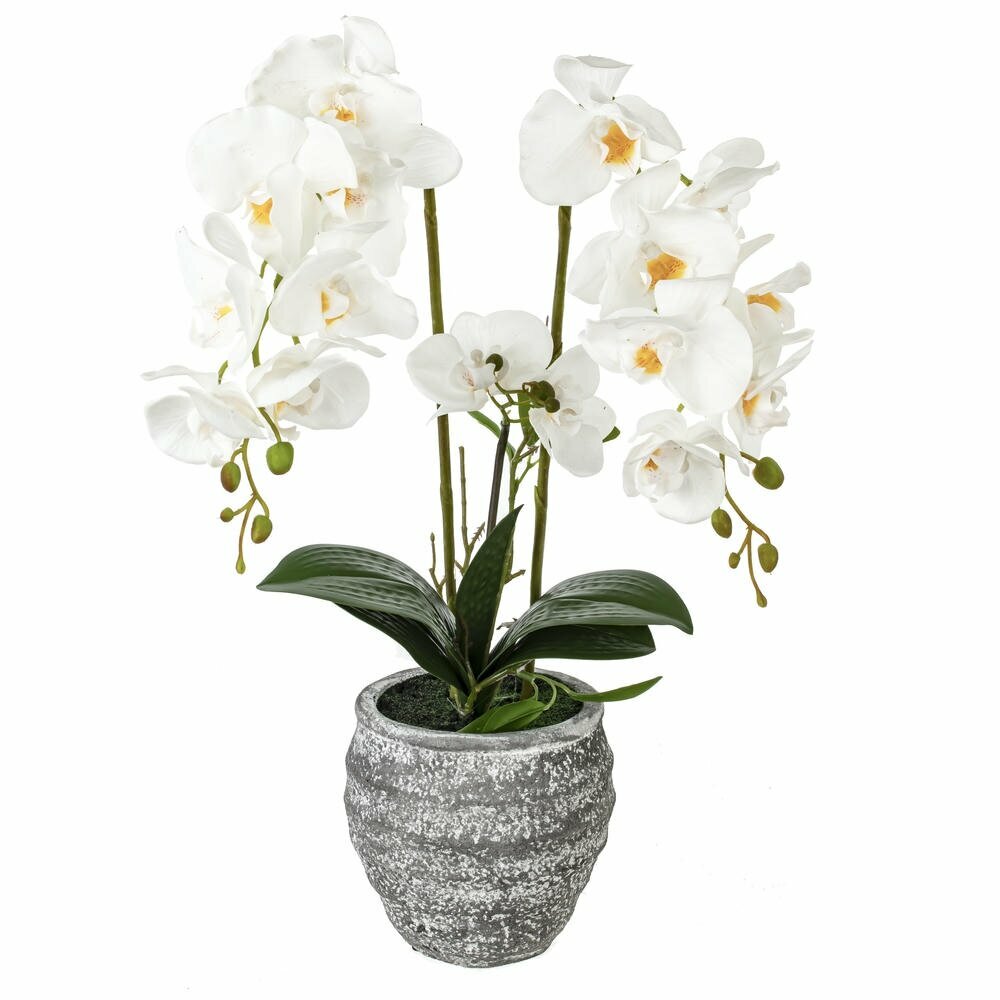 Цветочная композиция Орхидея, 18х18х82 см KSM-818227