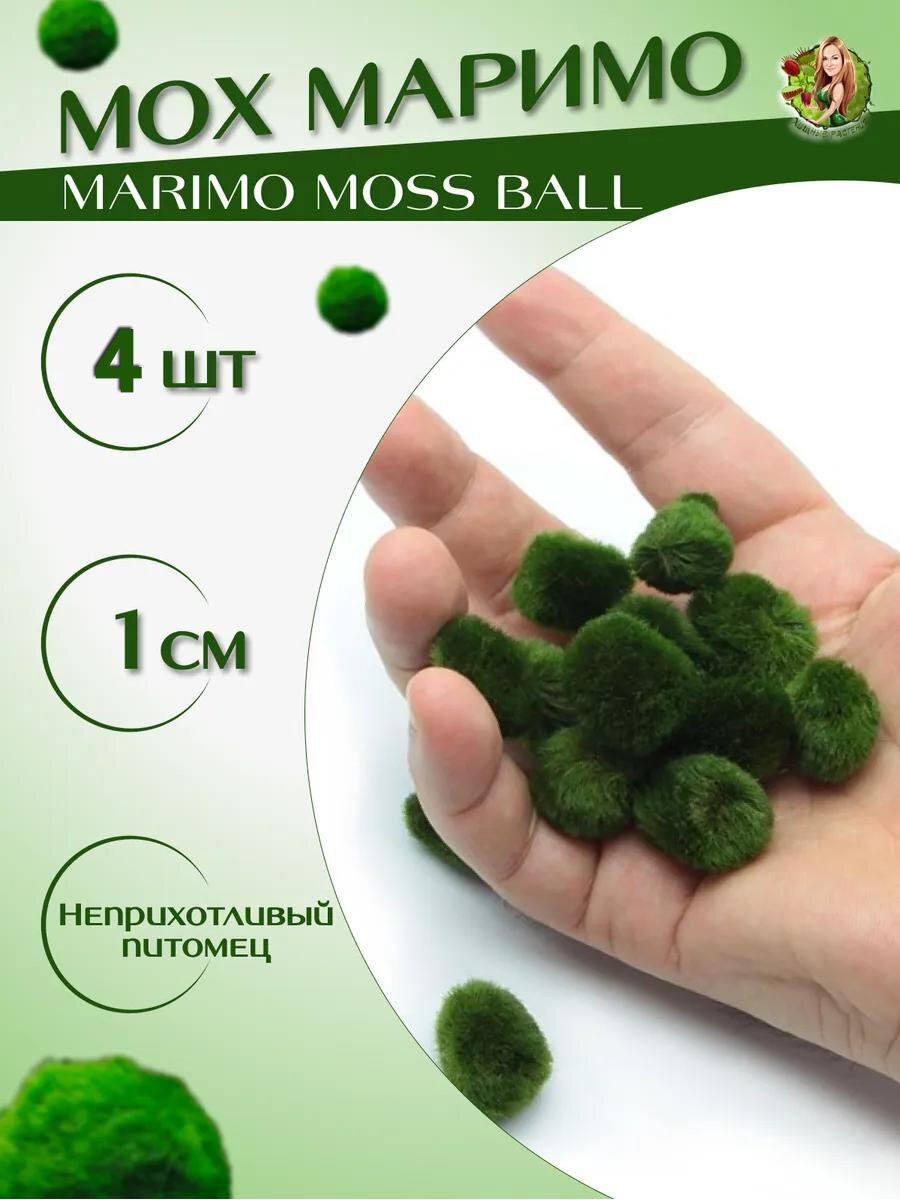 Милые шарики маримо, 4 шт.