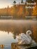 Шкатулка Лебедь