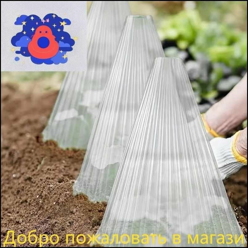 Эксклюзивная овощная грядка