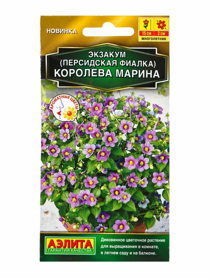 Семена цветов Экзакум (Персидская фиалка) Королева марина (драже) , Ц/П,4 шт.