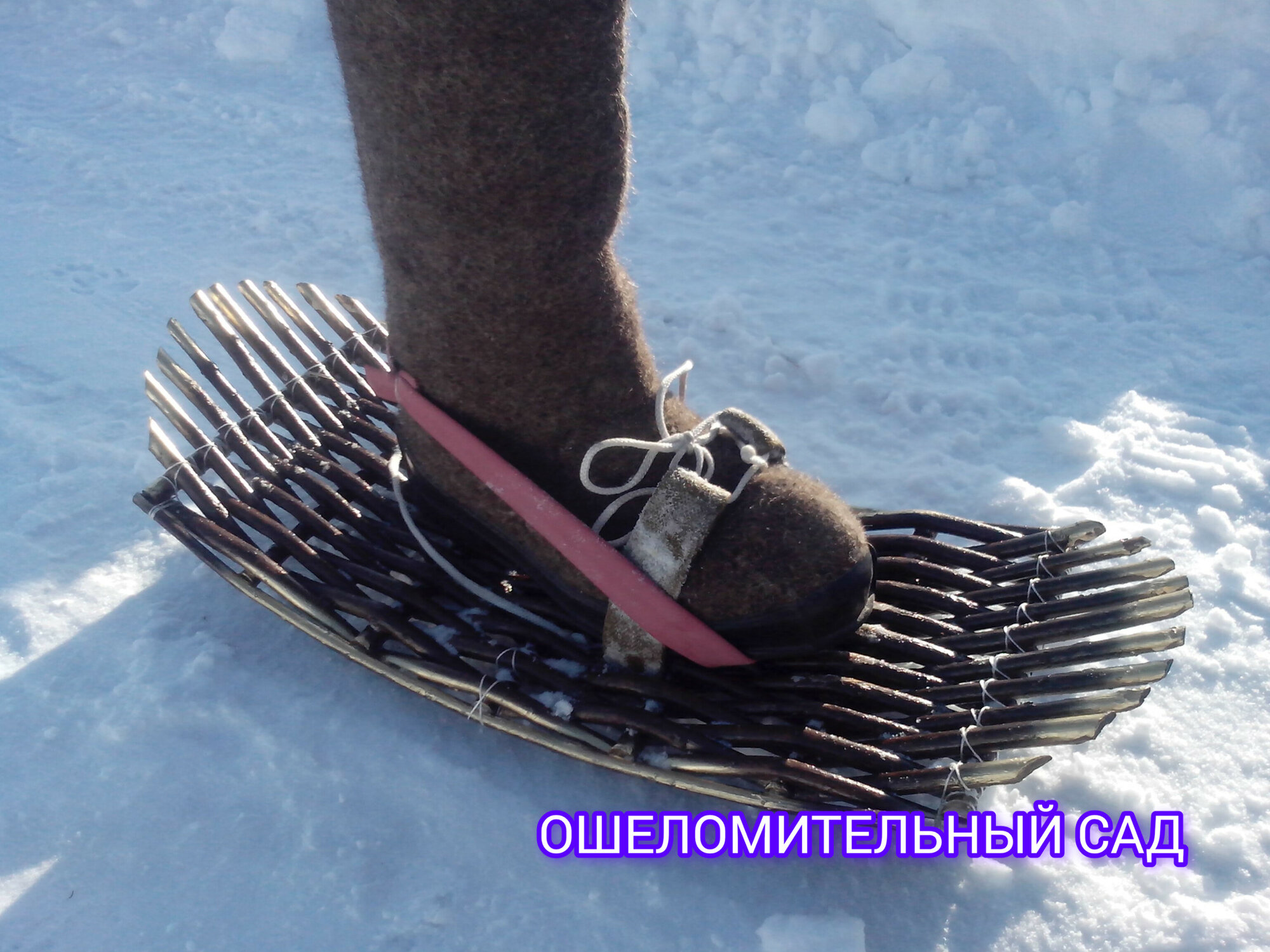 Снегоступы плетёные без креплений, одна пара, размер снегоступа: 61×21 см.