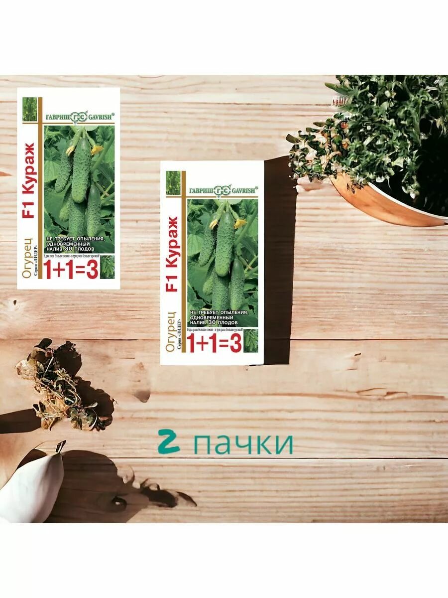 Огурец Кураж F1 ПК сер 1+1 цв. п 20 семян (комплект из 2 пачек) Гавриш
