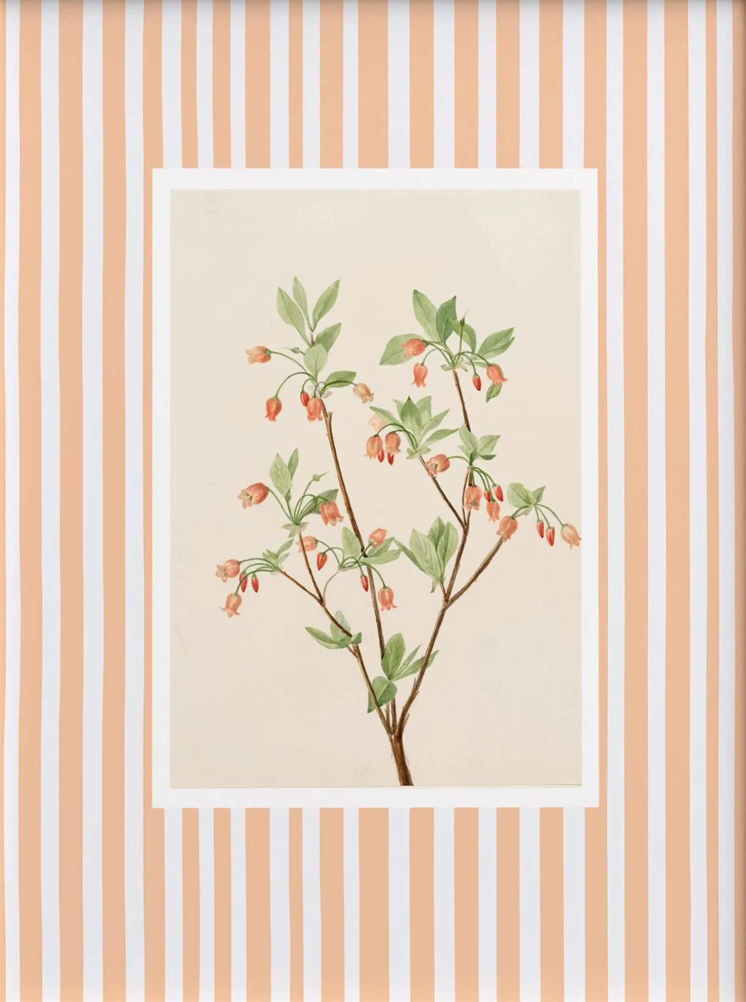 Печать на холсте «Цветущая ветка» 40x60 см, WO-175-10
