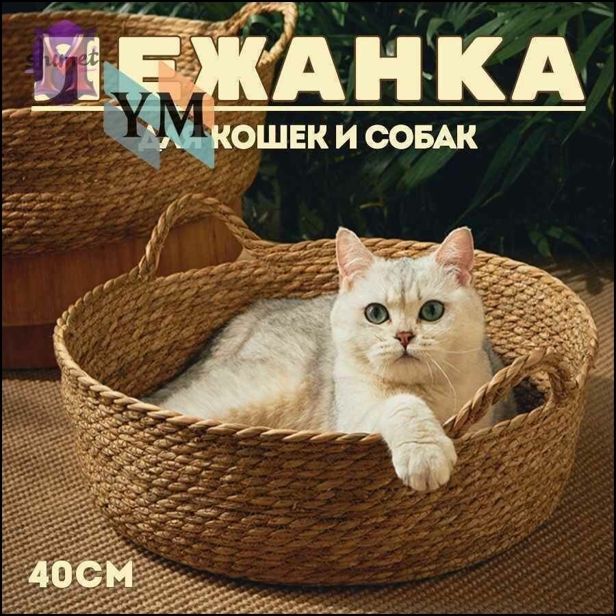 2025Коврик для животных — фото 1
