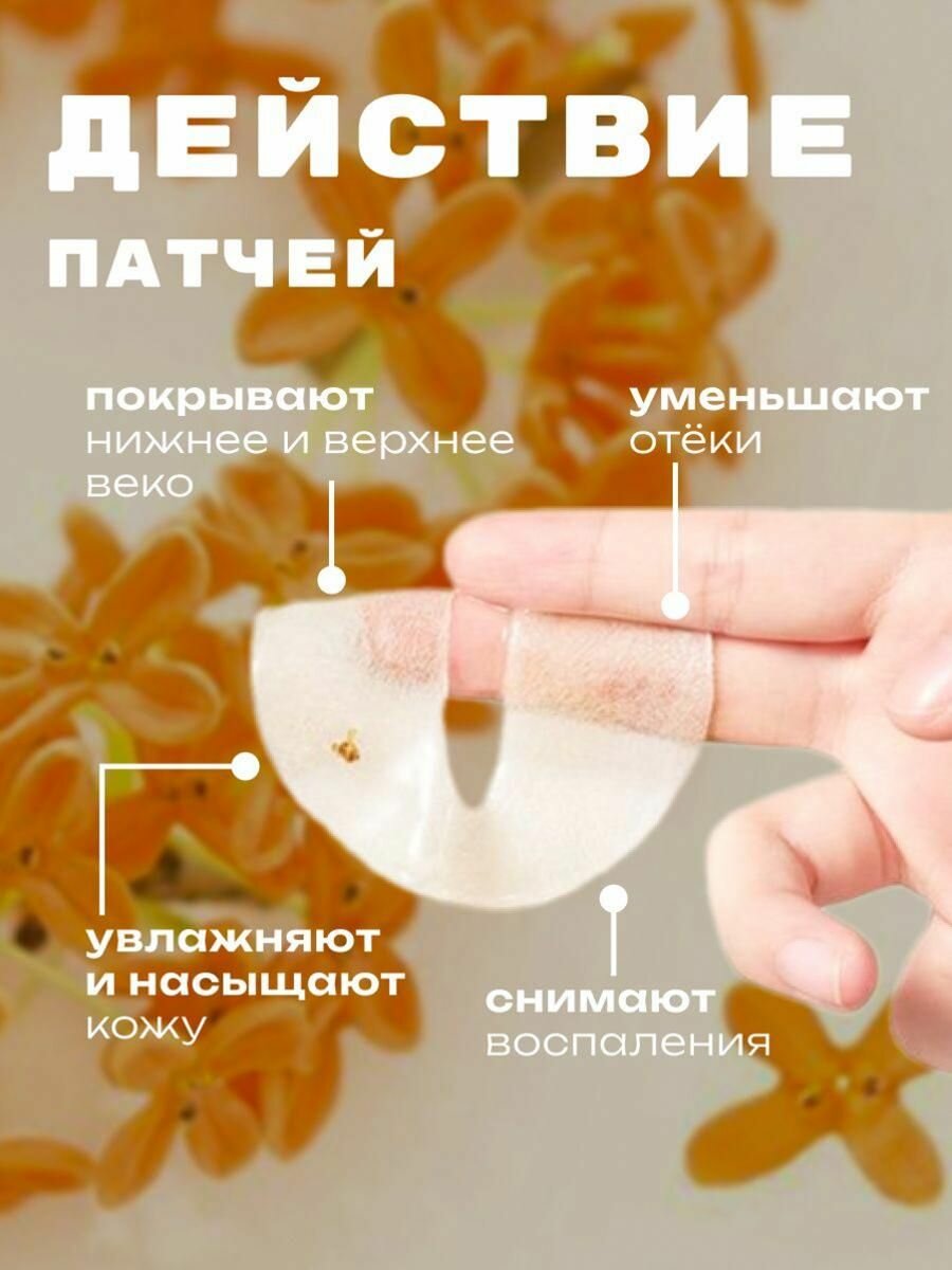 Патчи — фото 1
