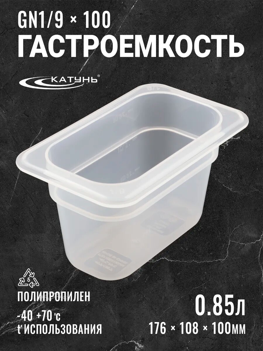 Гастроемкость Катунь 0.85 л GN 1/9*100, пищевой полипропилен, 176х108х100 мм
