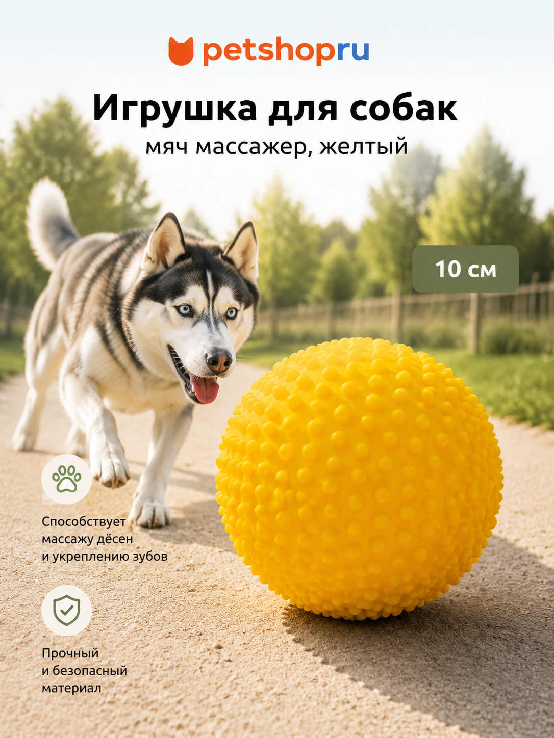 Игрушка-массажер для собак Мяч, 103мм
