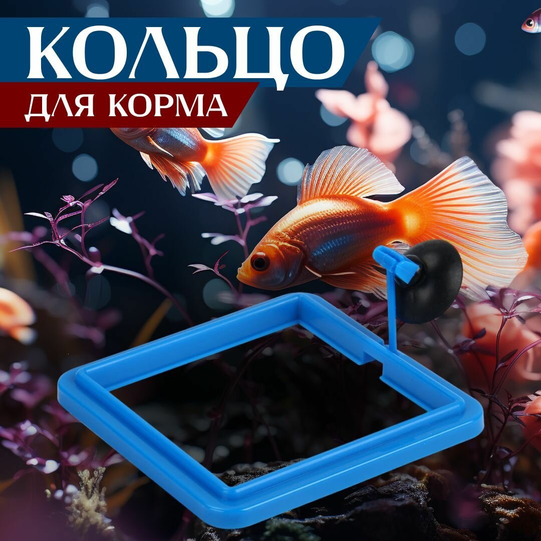 Квадрат для кормления рыб в аквариум, 10 x 10 см