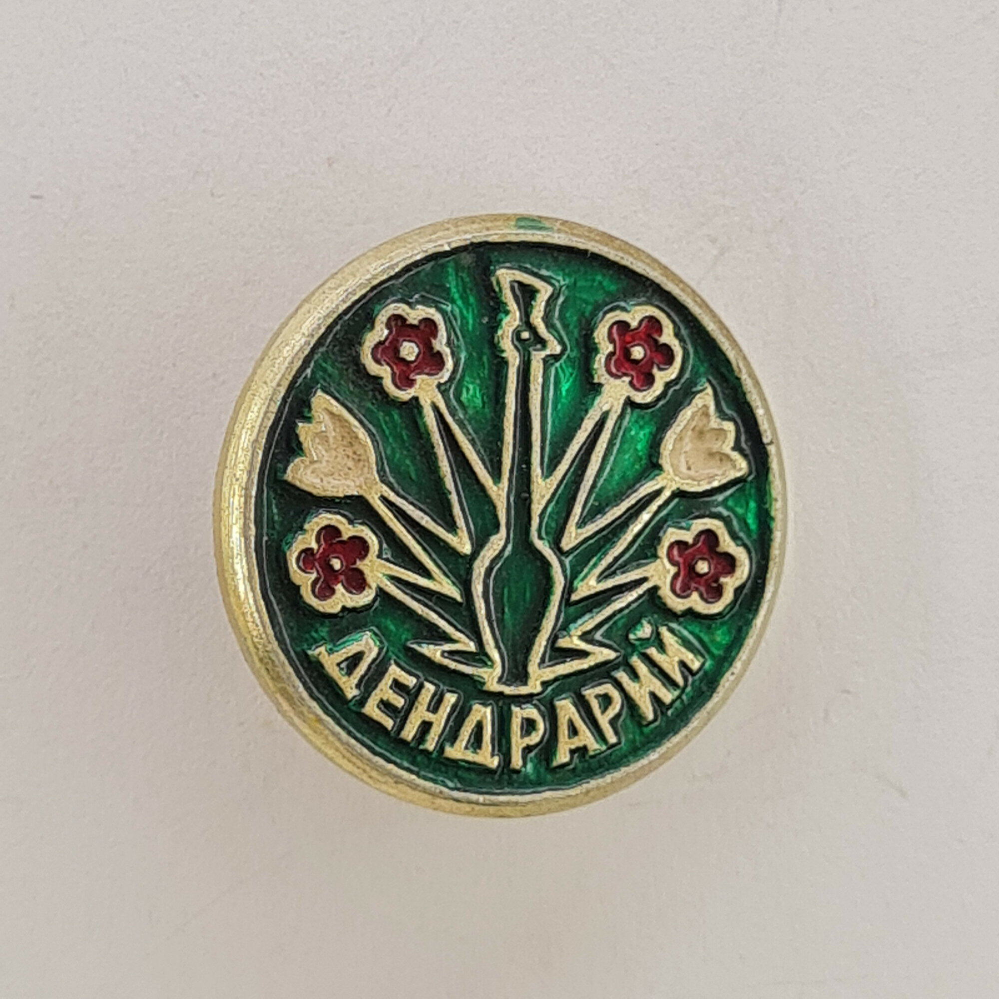 Значок СССР. Дендрарий, цветы и растение, ботаника. Винтажный значек.