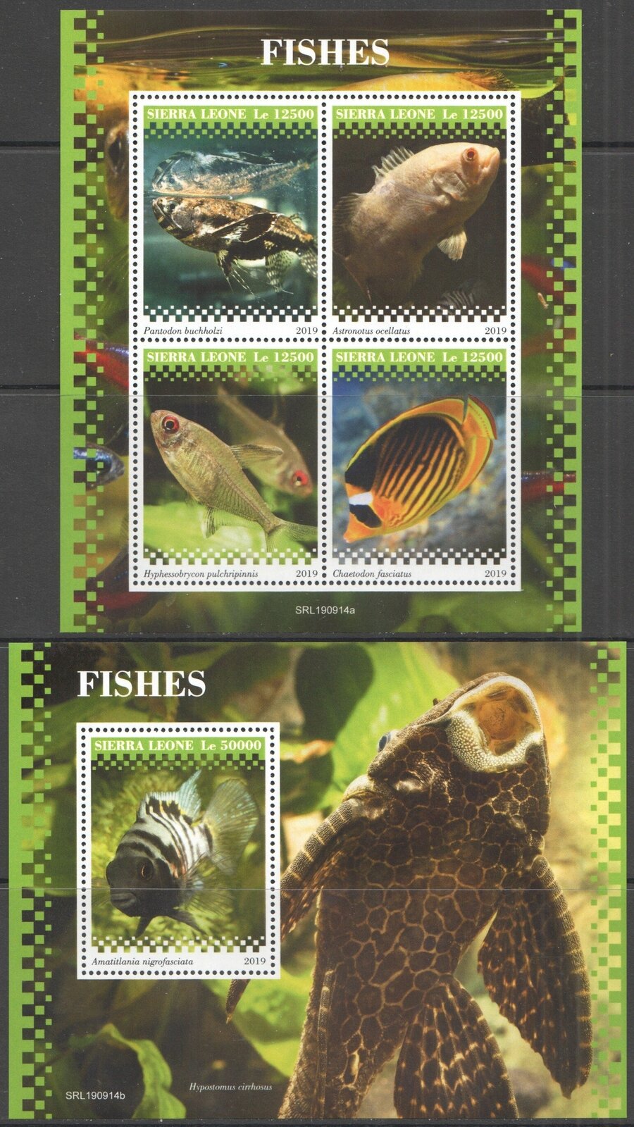 Марки 2019 год Сьерра-Леоне Рыбы Морская жизнь Фауна #11639-11642+Bl1822 Mnh