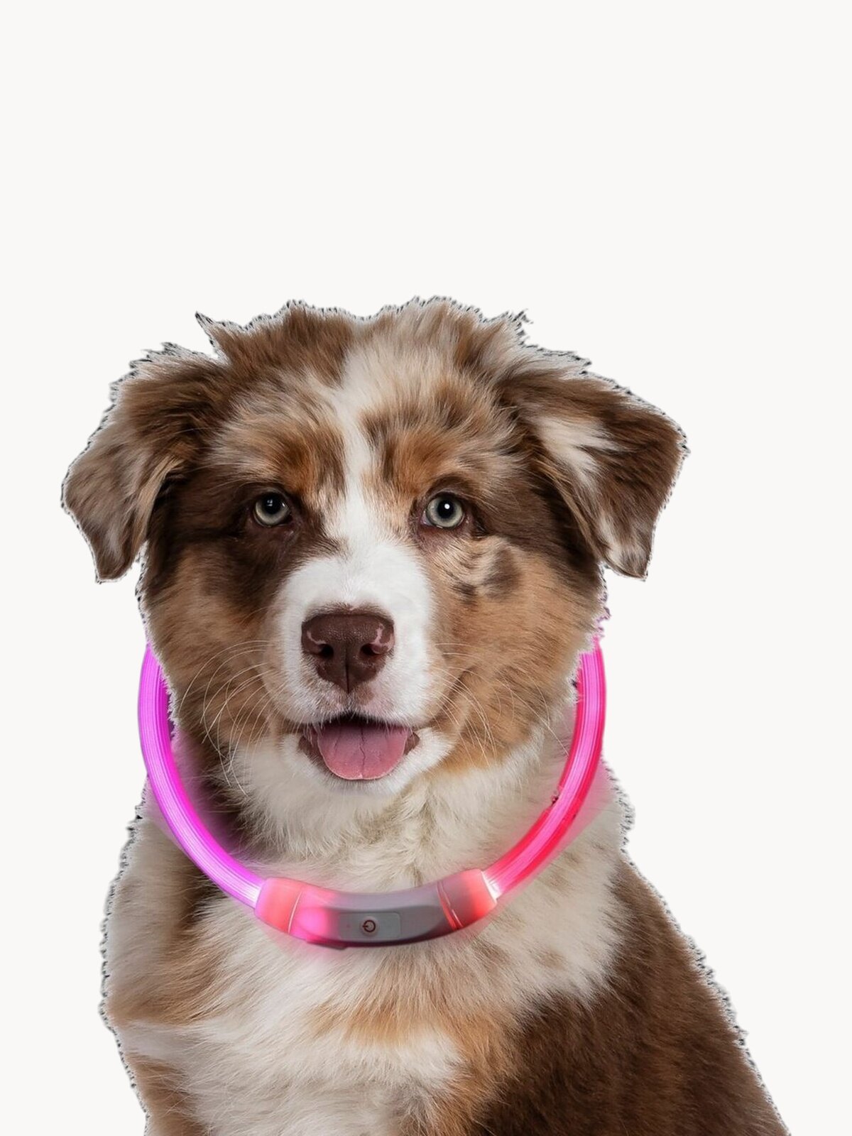 Светящийся ошейник для собак, регулируемый размер, Розовый