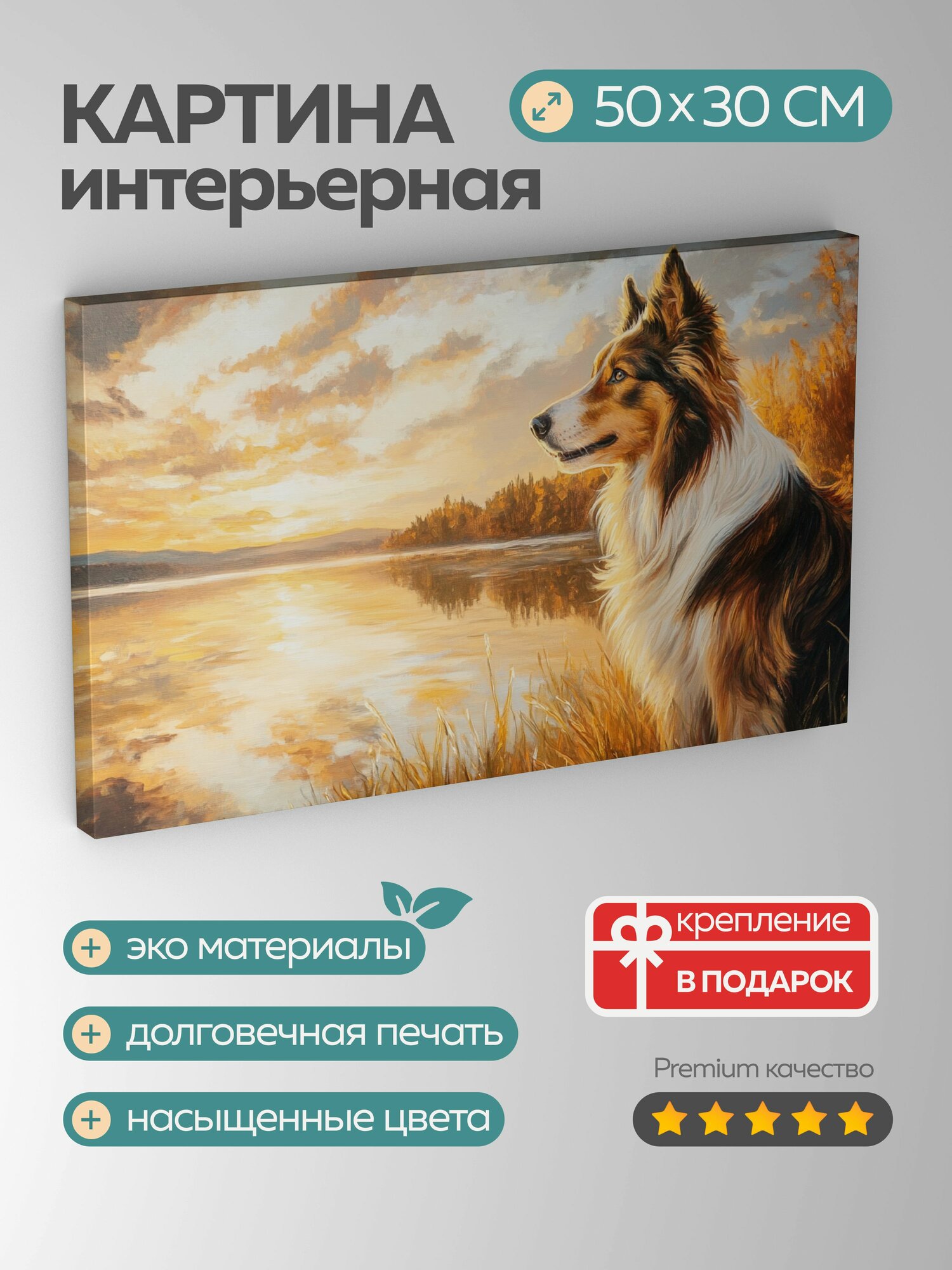 Картина на холсте интерьерная 50х30 см, картина маслом, собака колли, грация, уравновешенность, озеро на закате