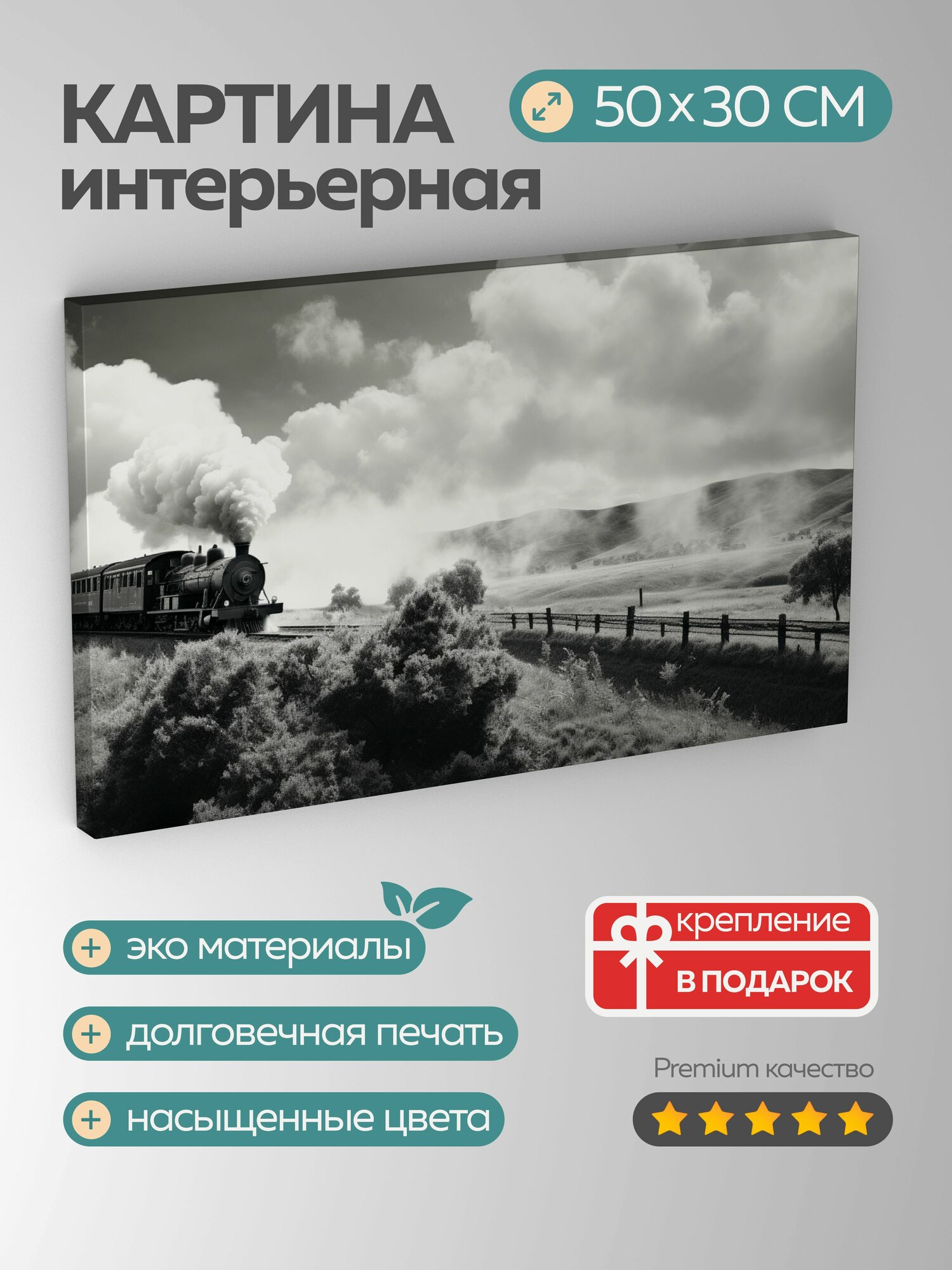 Картина на холсте интерьерная 50х30 см, картина, черно-белая фотография, старинный паровоз, живописная сельская желез