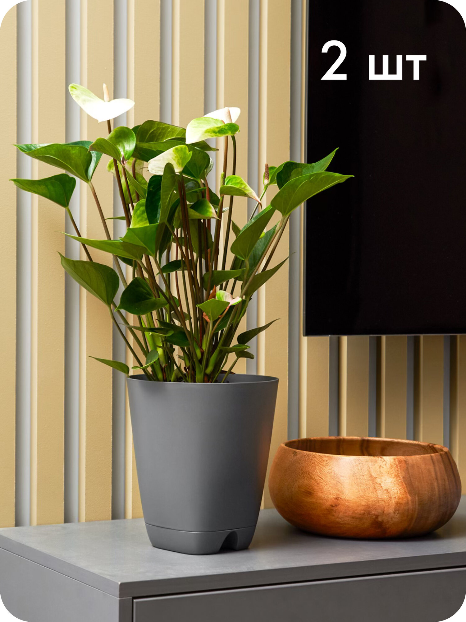 Набор горшков для цветов «Гранд», Альт-Пласт, 4лх2шт, графит, пластик