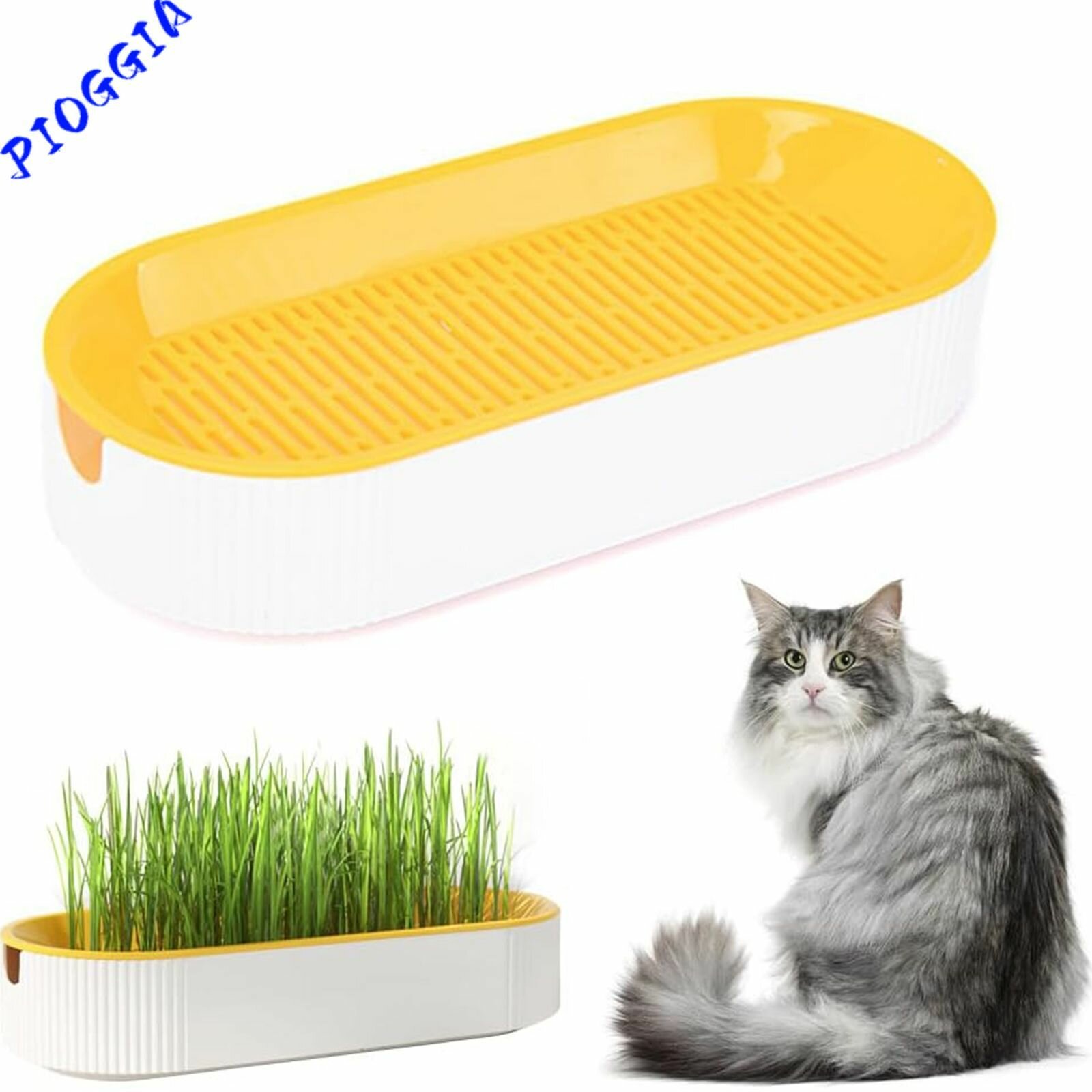 Гидропонный ящик для кошачьей травы с 5 пакетиками семян, беспочвенная посадка, выращивание кошачьей мяты, набор для здорового питания кошек