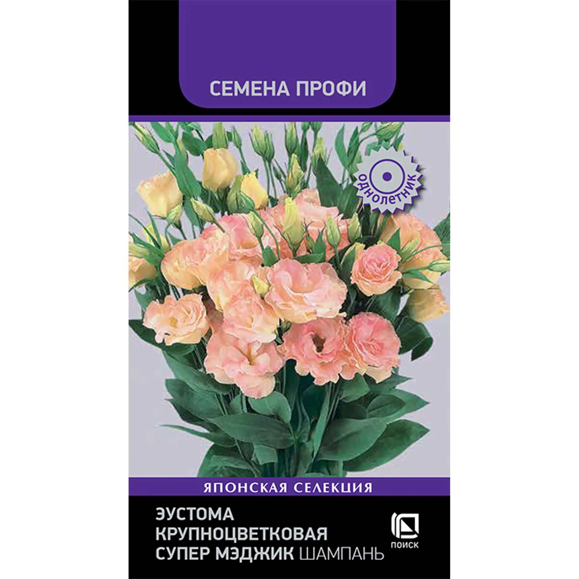 Эустома крупноцветковая Супер Мэджик Шампань семена для выращивания и украшения сада