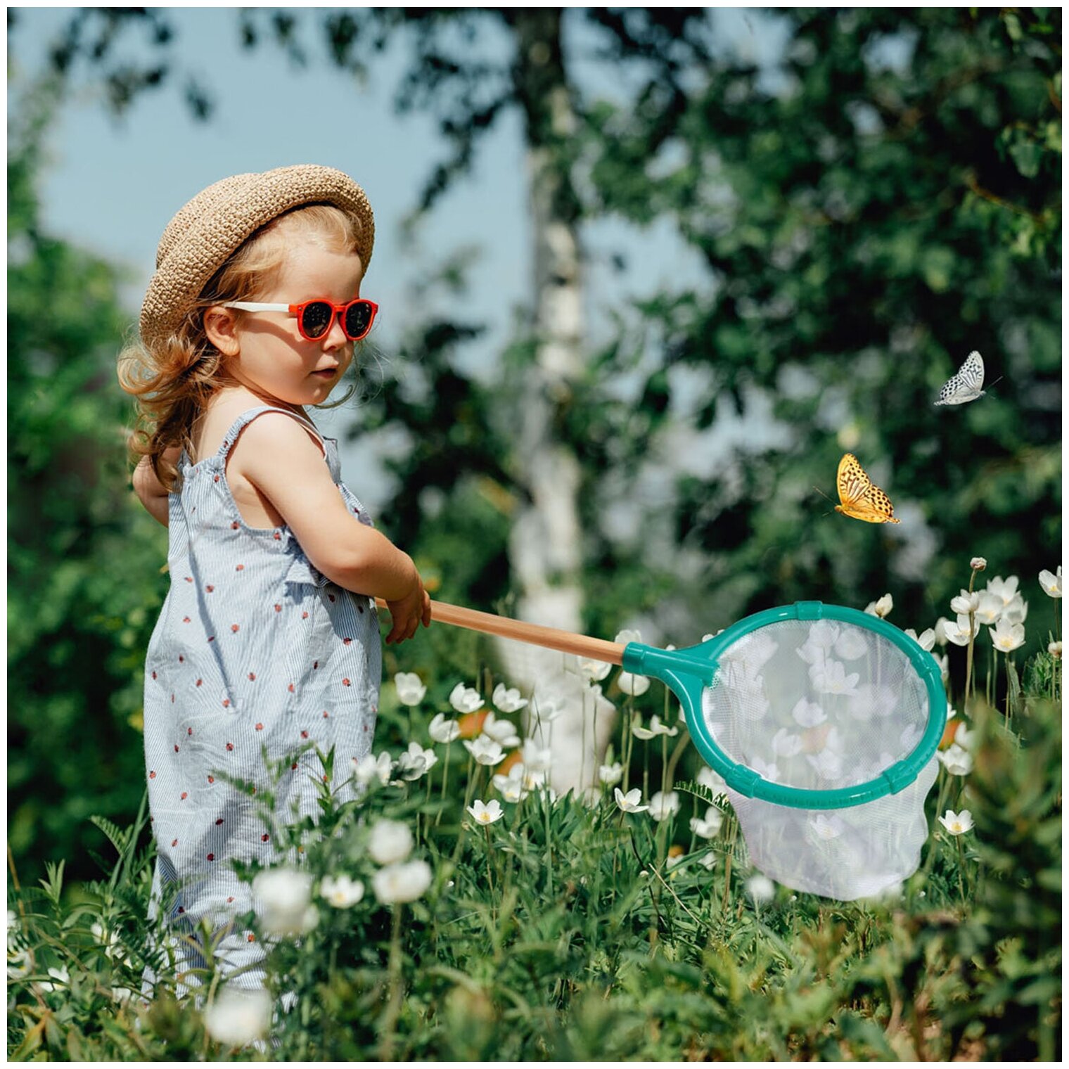 Игрушка - сачок детский для бабочек и насекомых Hape "Время путешествовать" E5578_HP