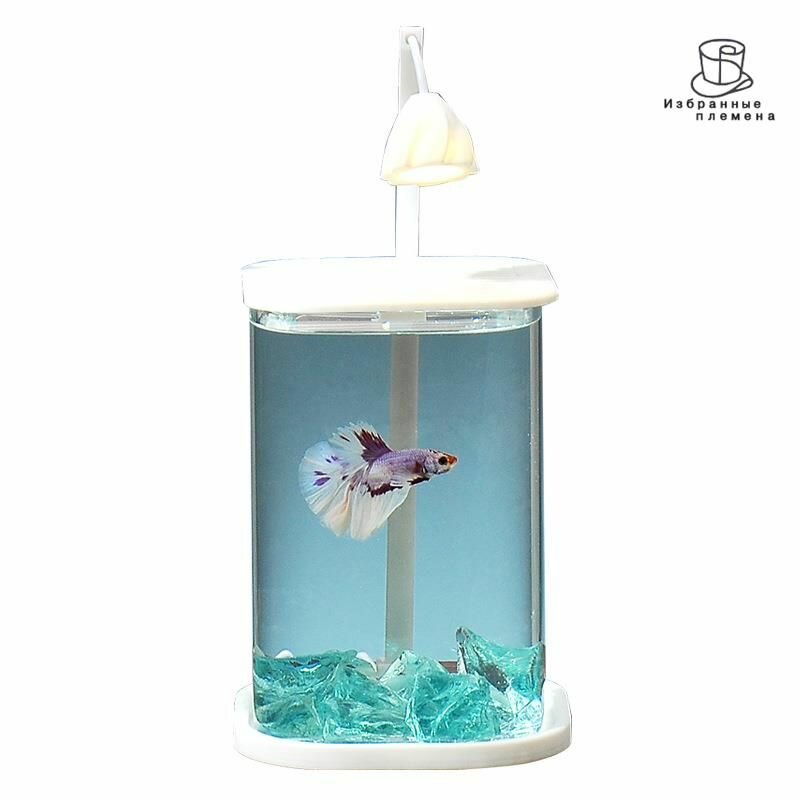 Аквариум для рыб/aquarium/с подсветкой, белый, зеленый, A