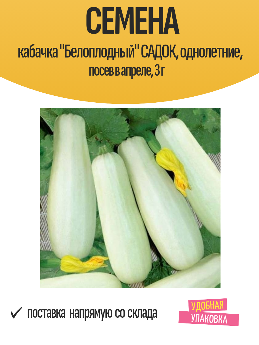 Семена кабачка "Белоплодный" садок, однолетние, посев в апреле, 3 г