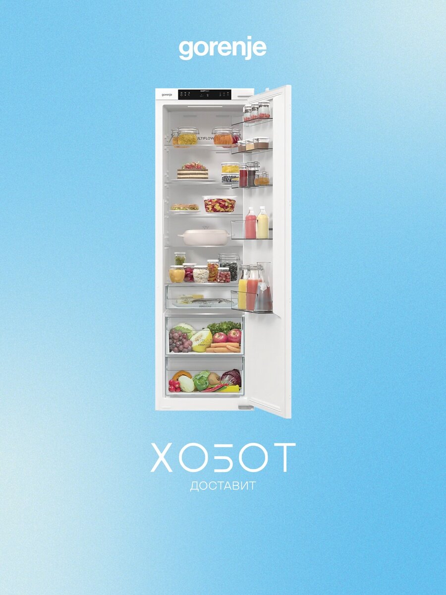 Встраиваемый холодильник Gorenje RI517E41WF