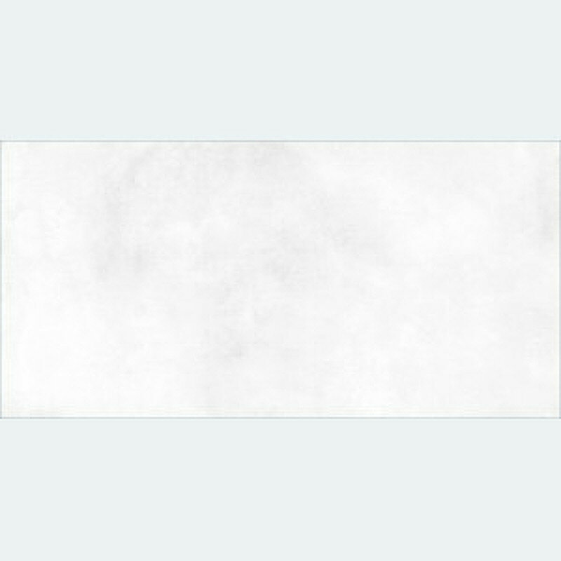 Керамическая плитка Alma Ceramica Richard TWU09RCD000 настенная 24,9х50 см белый