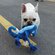 Игрушка для животных