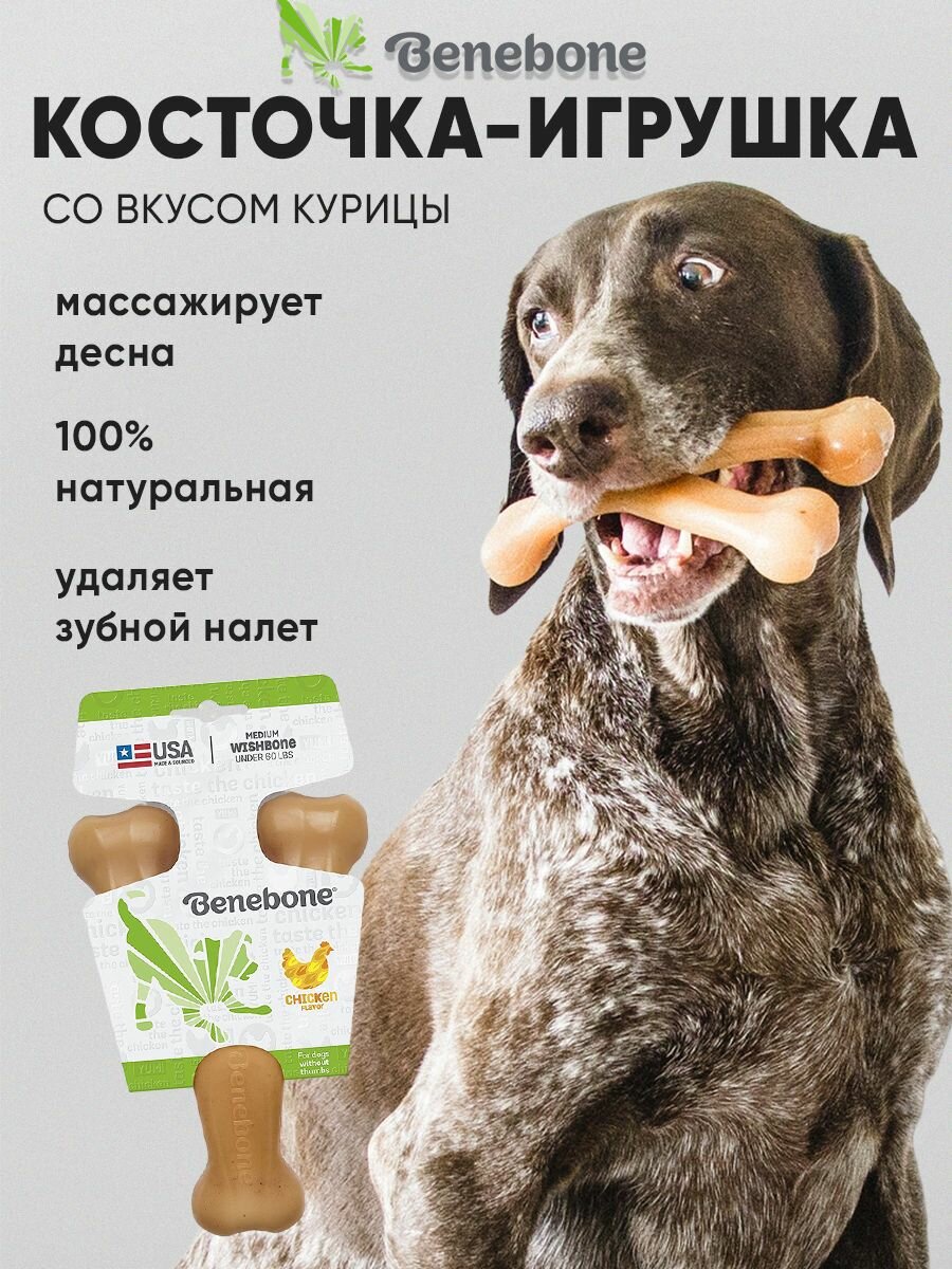 Лакомство для собак, жевательная косточка игрушка со вкусом курицы, размер средний (medium) BENEBONE