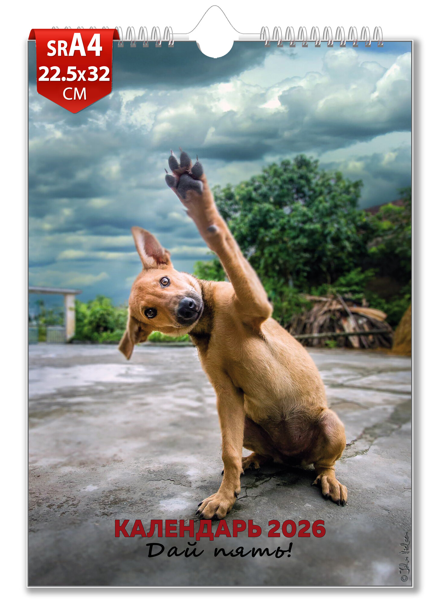Настенный перекидной календарь 2026 Собака Дай пять srА4 (22,5 х 32 см)