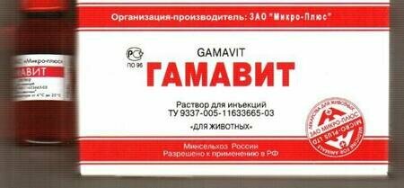 Гамавит 10 мл (раствор для инъекций) упак 5 фл /20/
