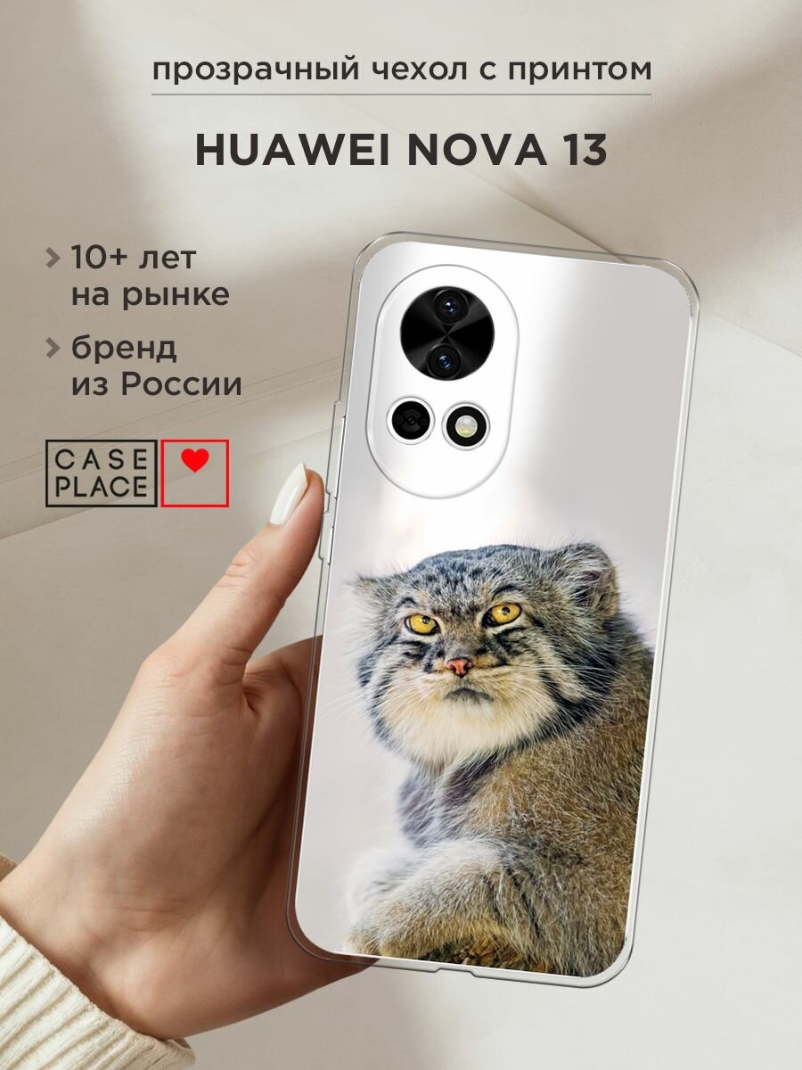 Чехол на Huawei Nova 12/Nova13 / Хуавей Нова 12/Нова 13 с принтом "Кот манул 1"