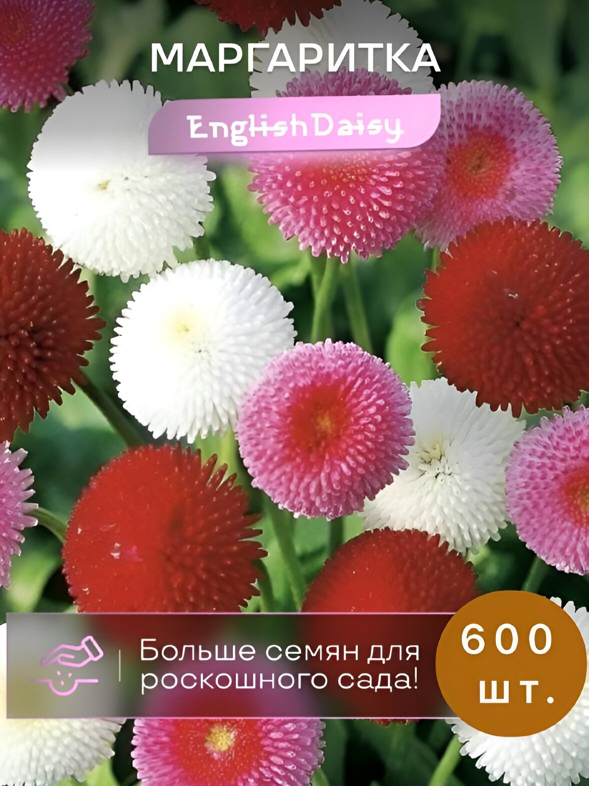 Маргаритка английская 600 семян премиум микс
