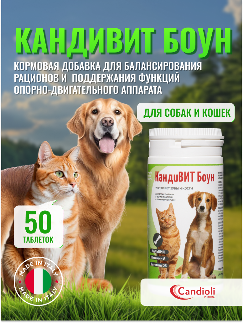 КандиВИТ Боун кормовая добавка для укрепления зубов и костей собак и кошек