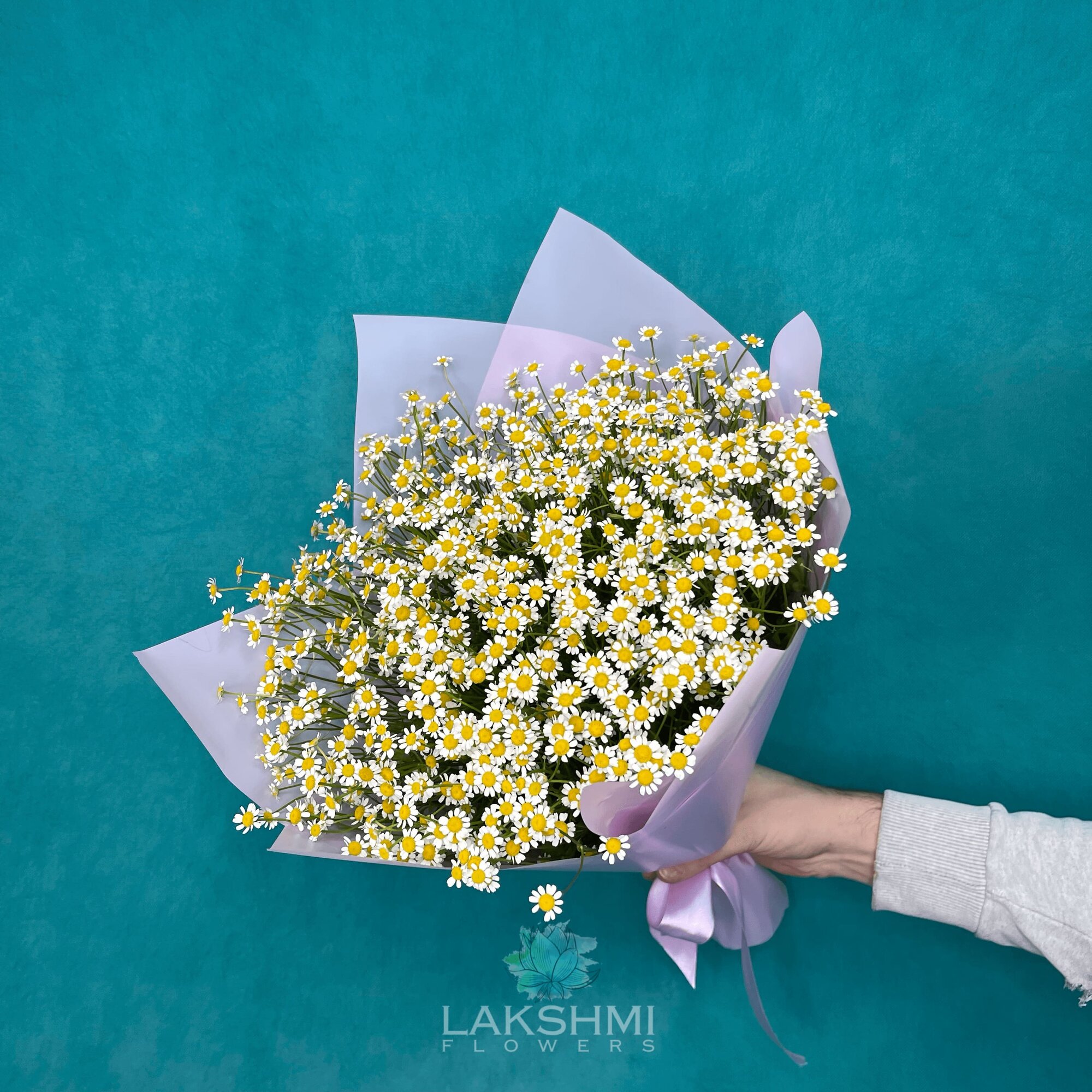 25 ромашек / Букет из 25 кустовых ромашек в авторской упаковке