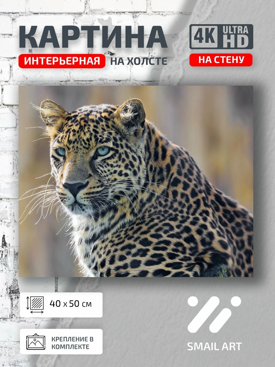 Картина на холсте интерьерная 40 на 50 на стену Ягуар Landscape для кафе пейзаж интерьер
