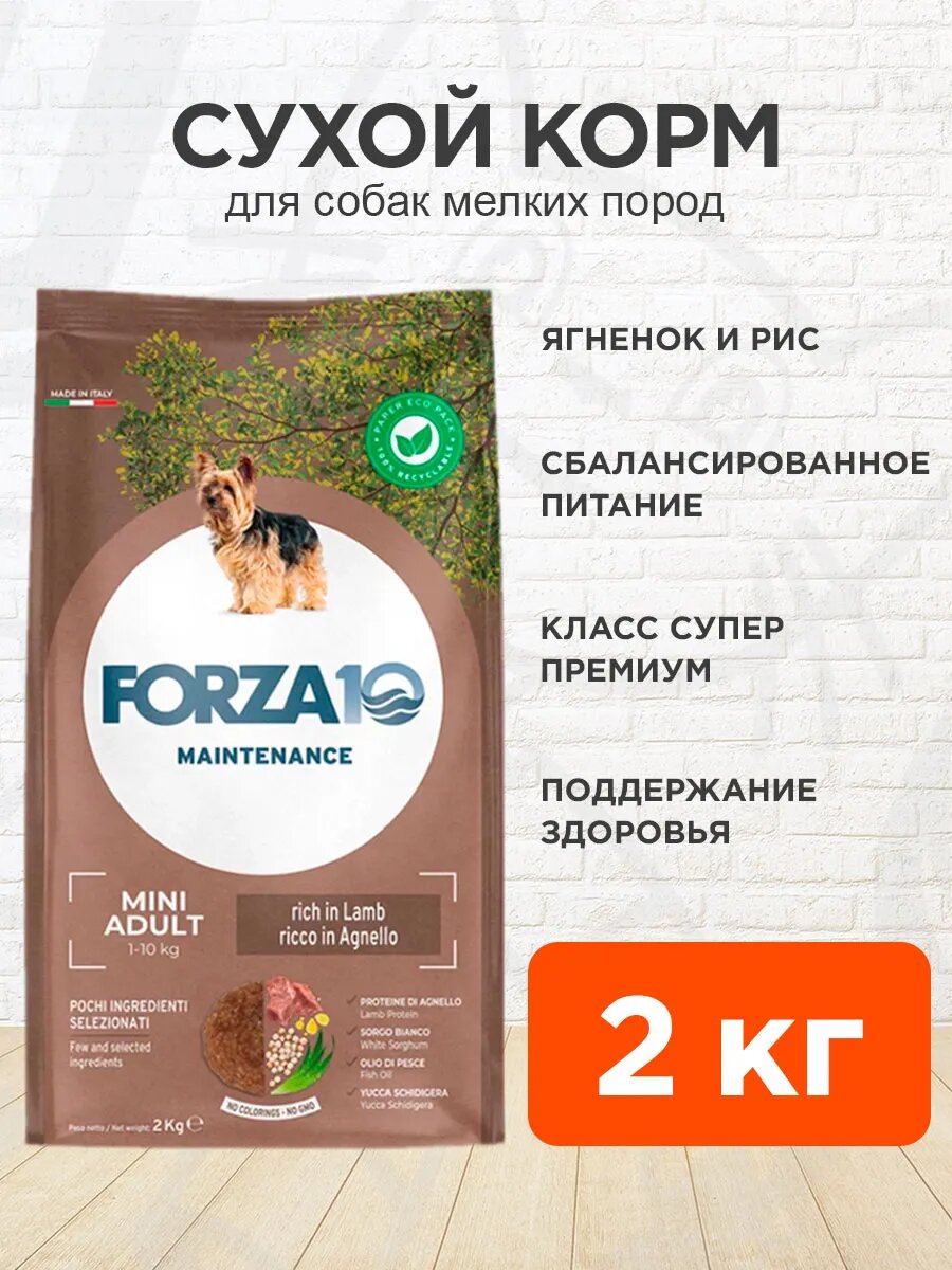 Корм сухой Forza10 Dog Maintenance Adult Mini для взрослых собак маленьких пород с ягненком и рисом, 2 кг